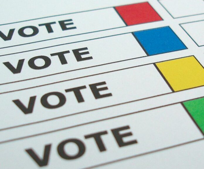 Two new candidates step up | The Chatham Voice