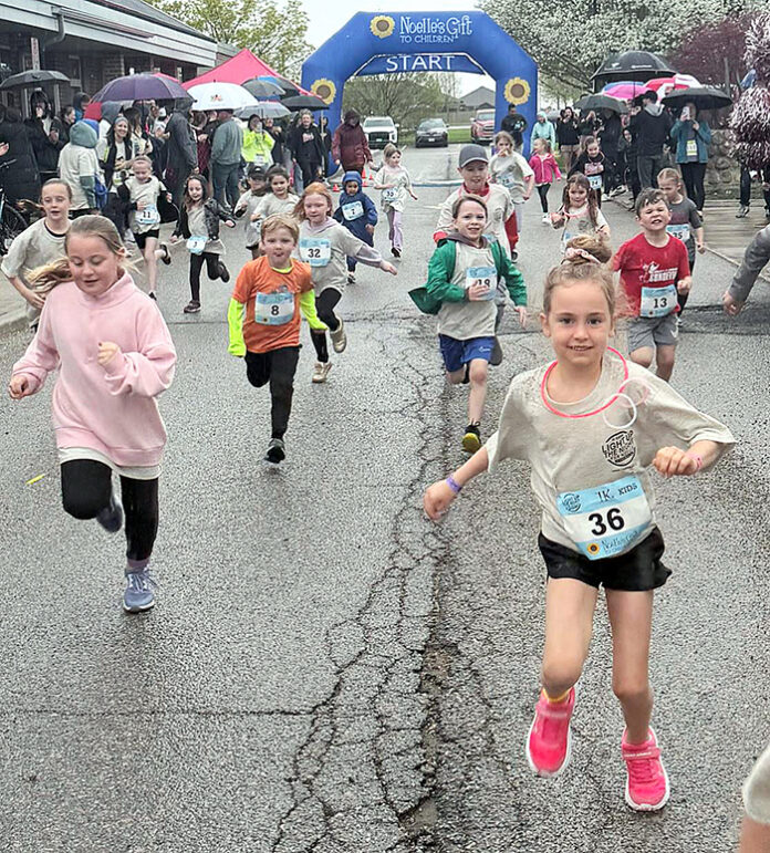 Light Up the Night for Noelle raises $11K | The Chatham Voice